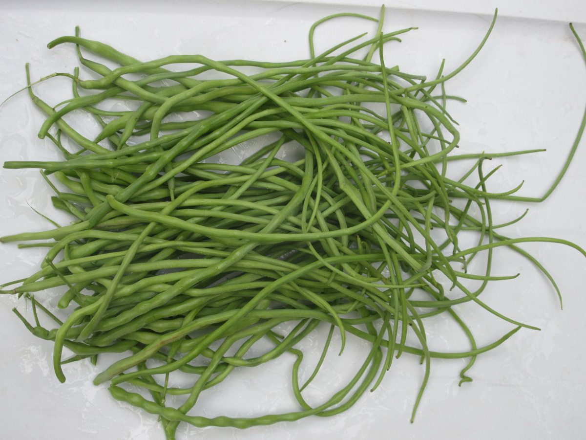 unusual vegetables – Pearl Crescent Farm