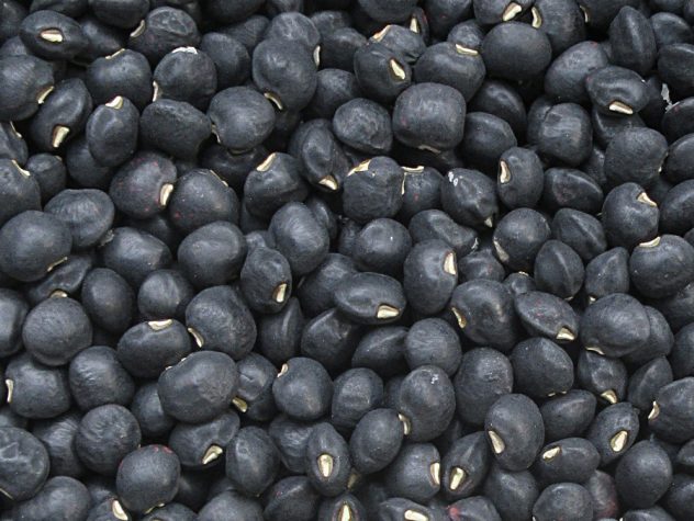 Cowpeas, Dry – Pearl Crescent Farm